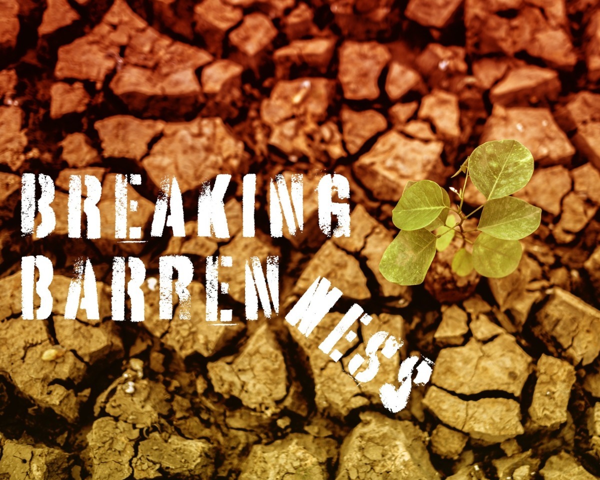 Bible Curriculum - Kingdom Tools For Spiritual Maturity